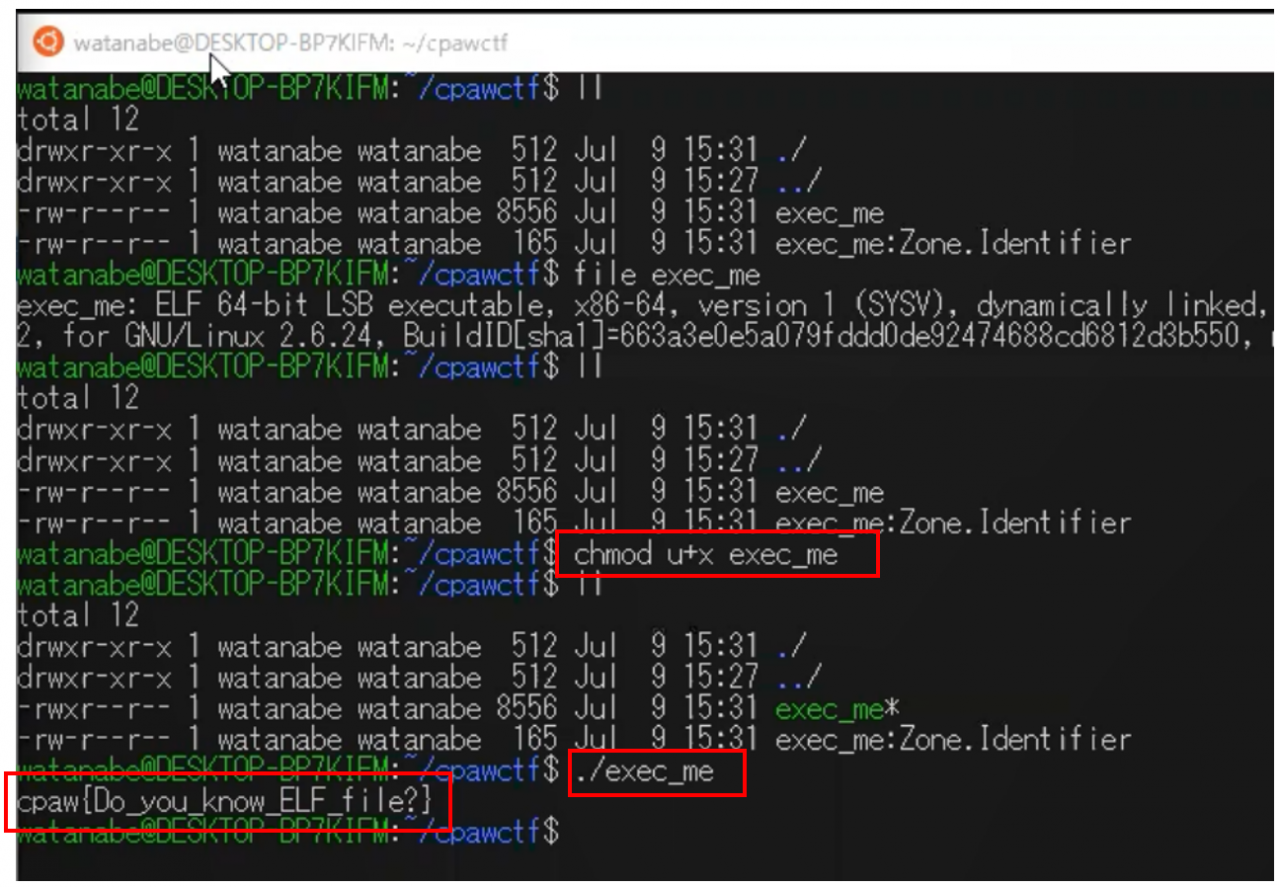 CTFに挑戦してみよう！(CpawCTF編②)│NCC 新潟コンピュータ専門学校│未来を創る、最先端を学ぶ